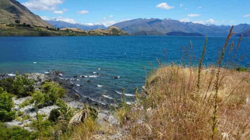 From Wanaka: Ruby Island 1-Hour Cruise and Photo Walk - Authentic Insights from Reviewers