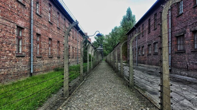 From Warsaw: Auschwitz-Birkenau Guided Tour with Fast Train - An Exhaustive Review of the Auschwitz-Birkenau Guided Tour from Warsaw