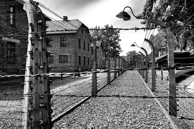 From Warsaw: Auschwitz-Birkenau Tour with Premium Train Transportation - Who Should Book This Tour?