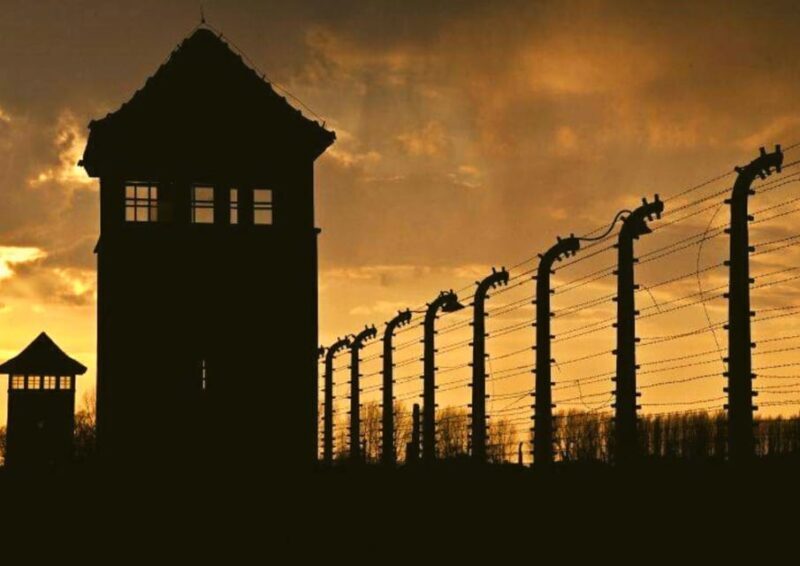 From Warsaw: Auschwitz Day Tour by Private Car with Lunch - Is This Tour Right for You?