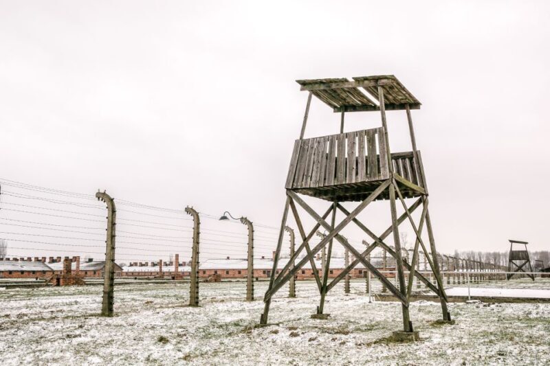 From Warsaw: Guided Tour to Auschwitz-Birkenau and Krakow - Who Will Love This Tour?