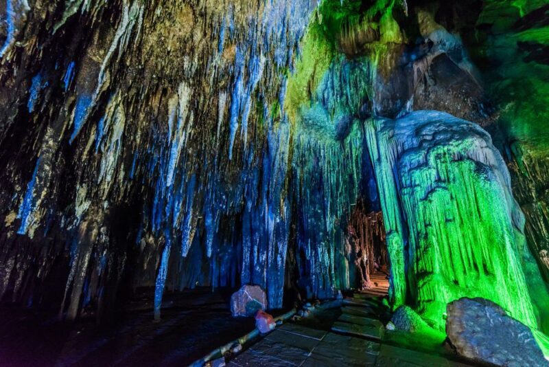 From Washington DC: Day Trip to Luray Caverns - Price and Value