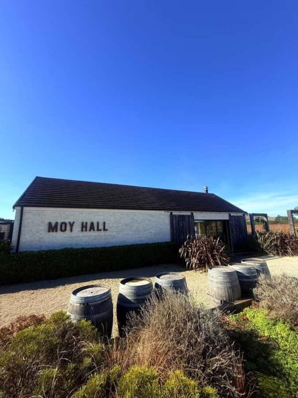 From Wellington: Half-Day Foodie Tour of the Wairarapa - Authentic Experiences & Hidden Gems