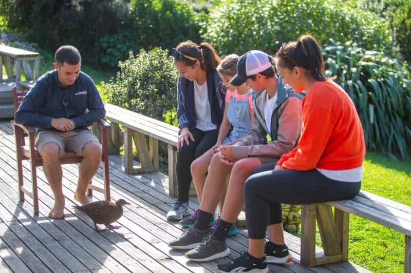 From Wellington: Kapiti Island Classic Guided Day Tour - The Experience’s Value