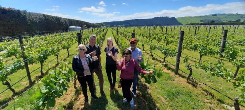 From Wellington: Martinborough Winery Tour - Key Points