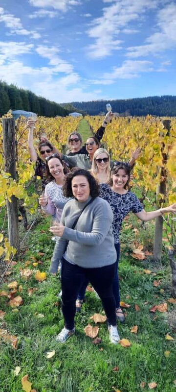From Wellington: Martinborough Winery Tour - Practical Tips for Future Travelers