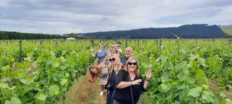 From Wellington: Martinborough Winery Tour - Who Is This Tour Best For?
