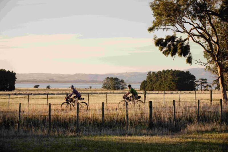 From Wellington: Remutaka Rail Trail eBike Tour - Key Points