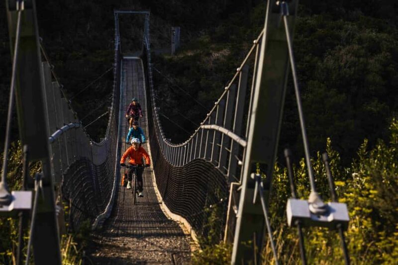 From Wellington: Remutaka Rail Trail eBike Tour - Who Should Consider This Tour?