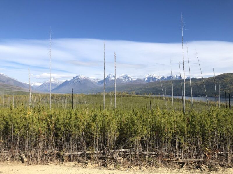 From Whitefish: West Glacier & Polebridge Day Tour - The Sum Up: A Great Choice for Nature and History Enthusiasts