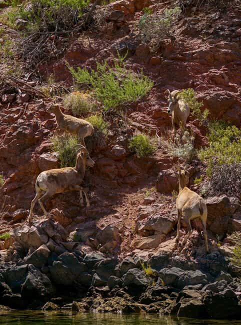 From Willow Beach: Sunset Kayak Tour to Emerald Cave - The Sum Up