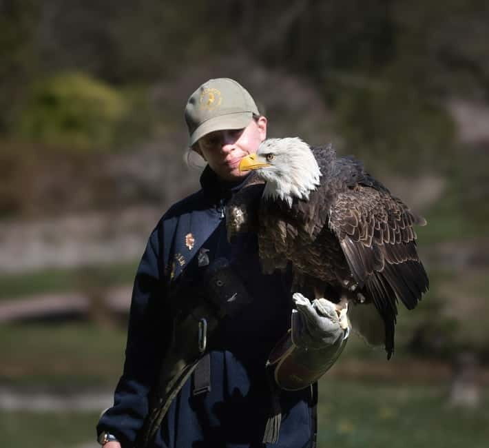 From Windermere: Mountain Passes & Muncaster Castle - What Travelers Love About This Tour