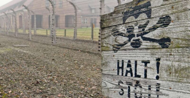 From Wrocaw: Full-Day Auschwitz-Birkenau Guided Tour - Key Points