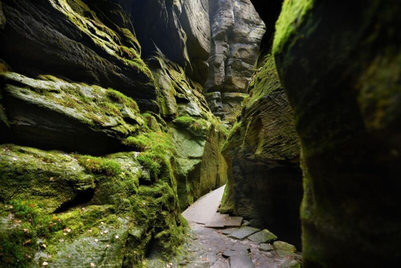 From Wroclaw: Hiking Trail in Rock City Adrspach - The Experience – Authentic Insights