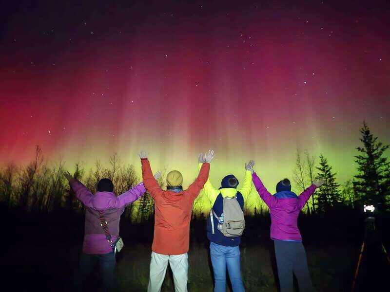 From Yellowknife: Aurora Borealis Tour with Cozy Cabin Base - Who Should Book This Tour?