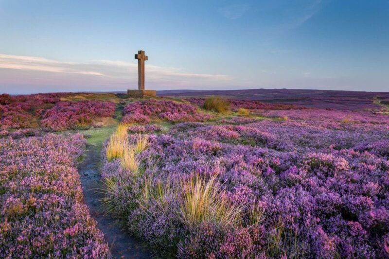From York: Day Trip to Whitby and The North York Moors - What Reviewers Love Most