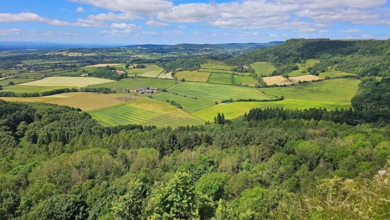 From York: North Yorkshire Moors, Villages & Whitby Day Tour - A Deep Dive into the North Yorkshire Moors & Whitby Tour