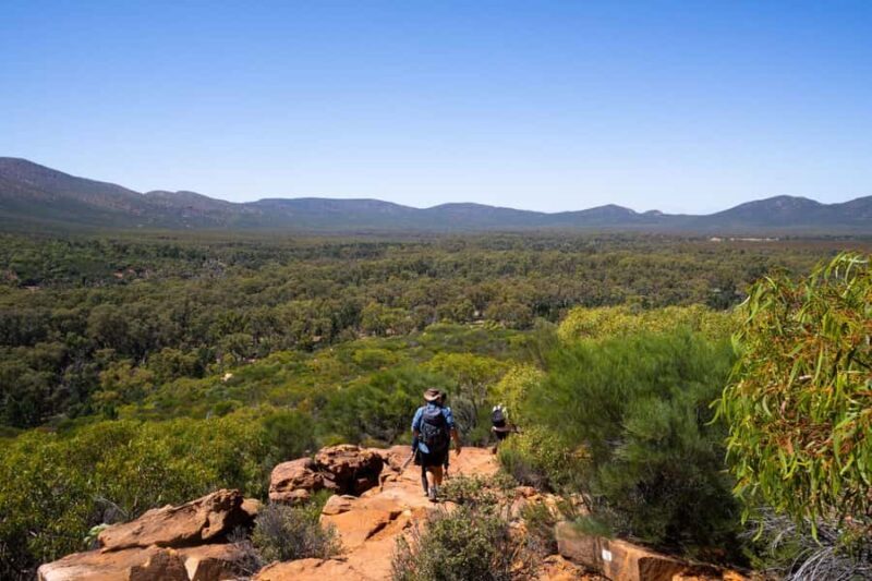 From Yulara: 7-Day Uluru to Adelaide Tour - FAQ