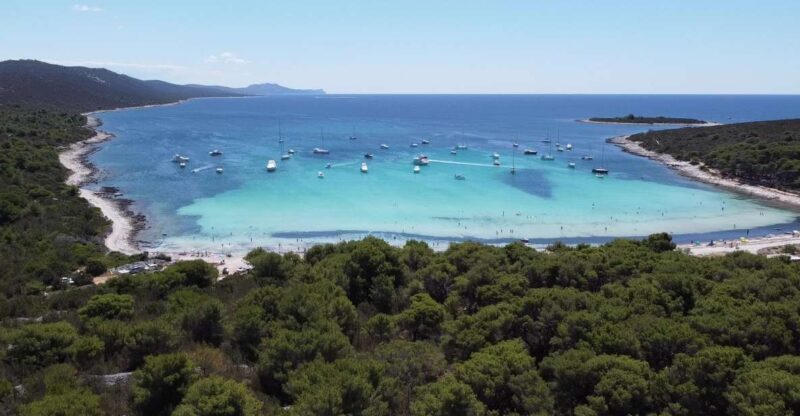 From Zadar: Full-Day Boat Trip to Sakarun Beach & Dugi Otok - In-Depth Breakdown of the Itinerary