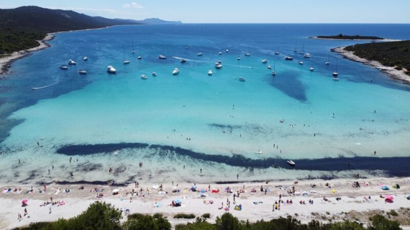 From Zadar: Full-Day Boat Trip to Sakarun Beach & Dugi Otok - Real Experiences and Tips from Reviewers