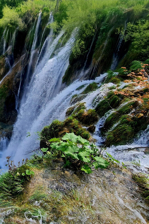 From Zadar: Plitvice Lakes Day Trip with Guide and Boat Tour - Key Points