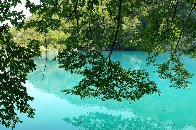 From Zadar: Plitvice Lakes Guided Day Tour with Tickets - FAQ