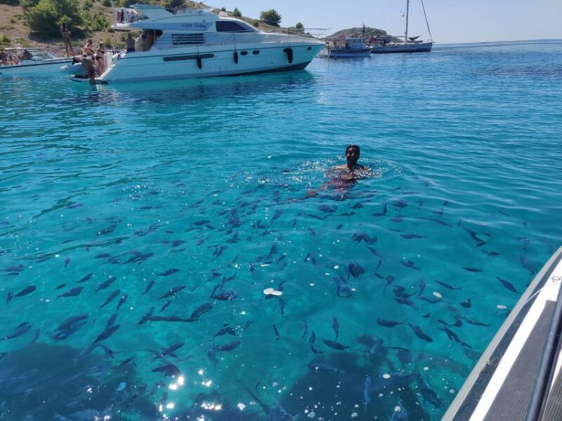 From Zadar: Private Speedboat Tour of Kornati National Park - Authentic Feedback from Tour Participants