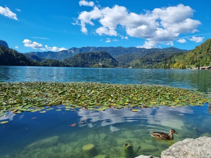 From Zagreb: Highlights Day Tour to Bled and Ljubljana - Key Points