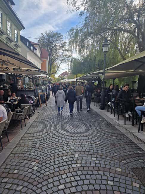 From Zagreb: Ljubljana and Lake Bled Private Day Tour - Who Will Love This Tour?