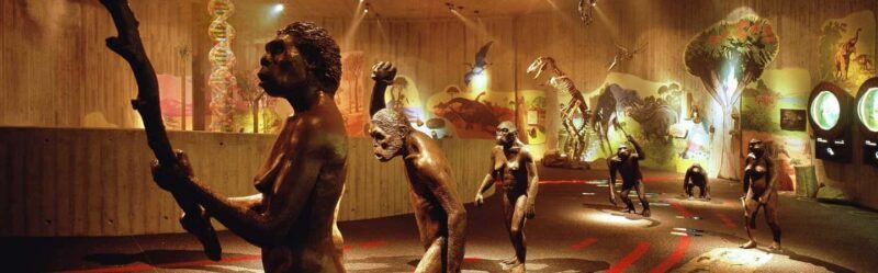 From Zagreb:Discover North Croatia, Museums, Castle and City - Key Points