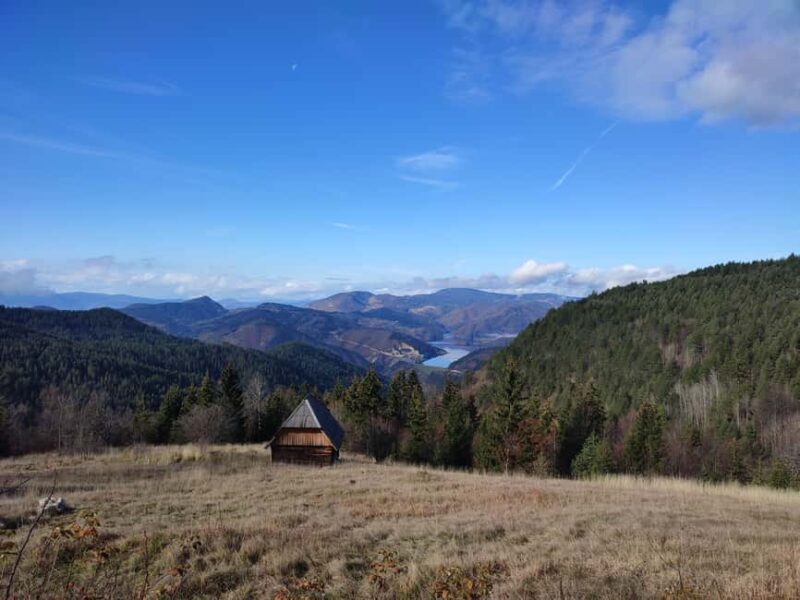 From Zlatibor/Uice: Tara National Park Adventure - Why This Tour Is a Great Choice