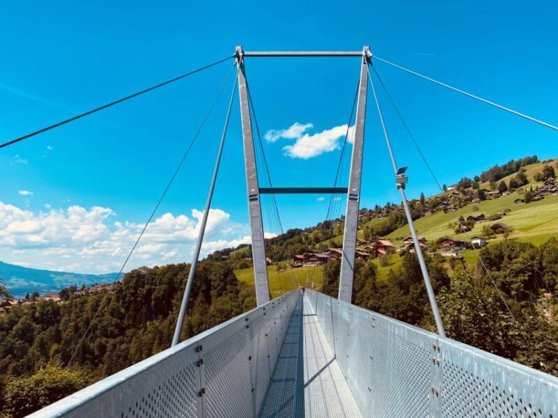 From Zurich: Crash Landing On You Locations in Interlaken - Who Should Consider This Tour?