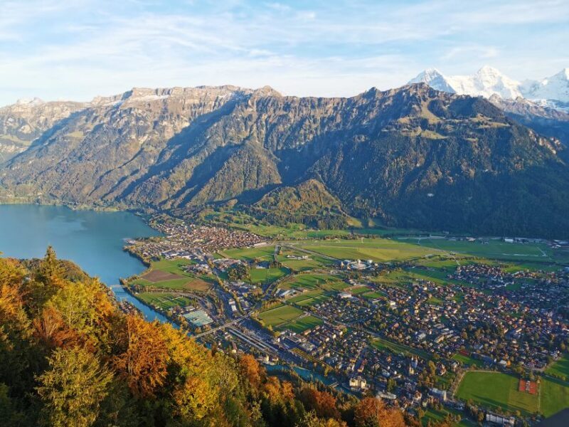 From Zurich: Day-Trip to Interlaken - What Reviewers Say