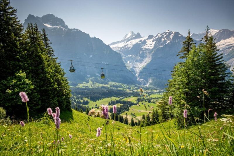 From Zurich: Grindelwald First Cable Car & Interlaken - Practical Tips for Your Day Trip