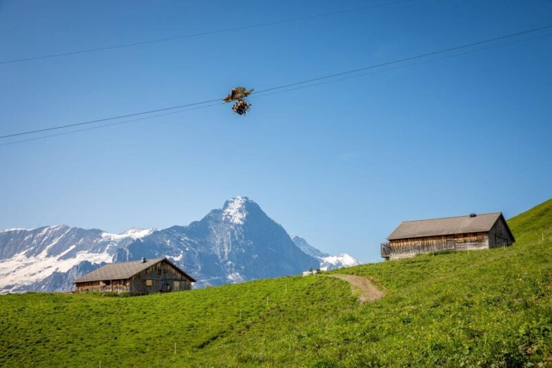 From Zurich: Grindelwald First Cable Car & Interlaken - The Sum Up: Is This Tour Worth It?