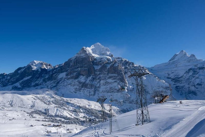 From Zurich: Grindelwald, Lauterbrunnen & Interlaken Tour - FAQ