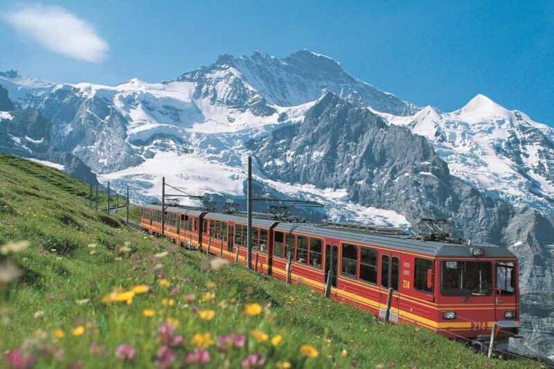 From Zurich: Jungfraujoch Guided Day Tour with Cogway Train - The Guides and Group Atmosphere