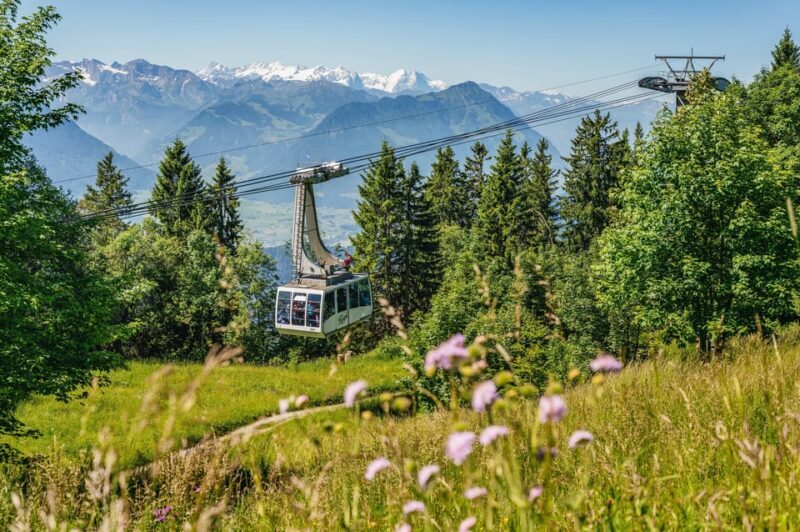 From Zurich: Mount Rigi and Lucerne Small-Group Day Trip - An Overview of the Experience
