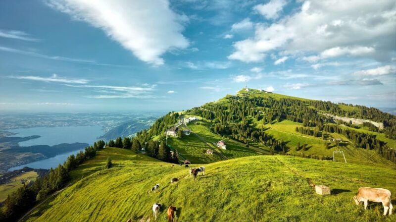 From Zurich: Mount Rigi and Lucerne Small-Group Day Trip - Practical Tips for Travelers