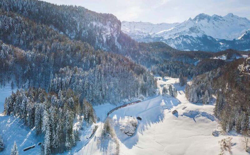 From Zurich: Premium Panoramic Train, Lucerne & Interlaken - Who Will Love This Tour?
