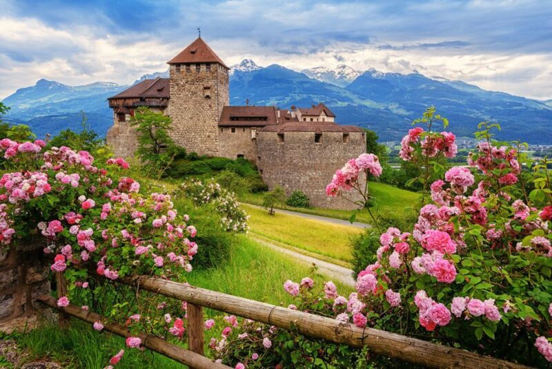 From Zurich: Private Trip to Liechtenstein and Heidiland - The Journey Begins: From Zurich to Rapperswil Castle