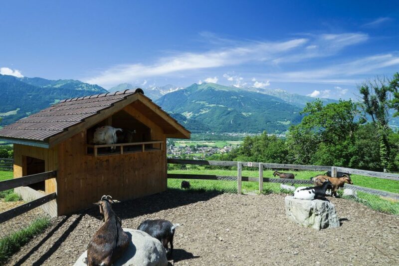 From Zurich: Private Trip to Liechtenstein and Heidiland - Scenic Return: Walensee and Zurich