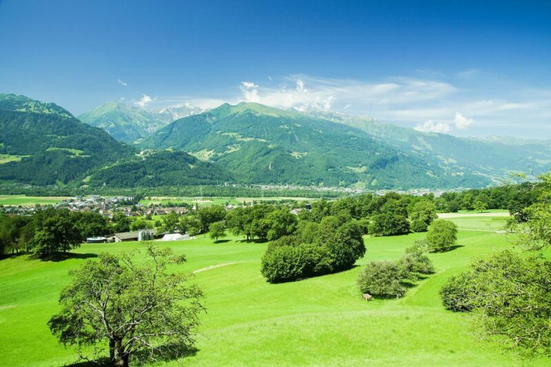 From Zurich: Private Trip to Liechtenstein and Heidiland - Practical Details and Considerations