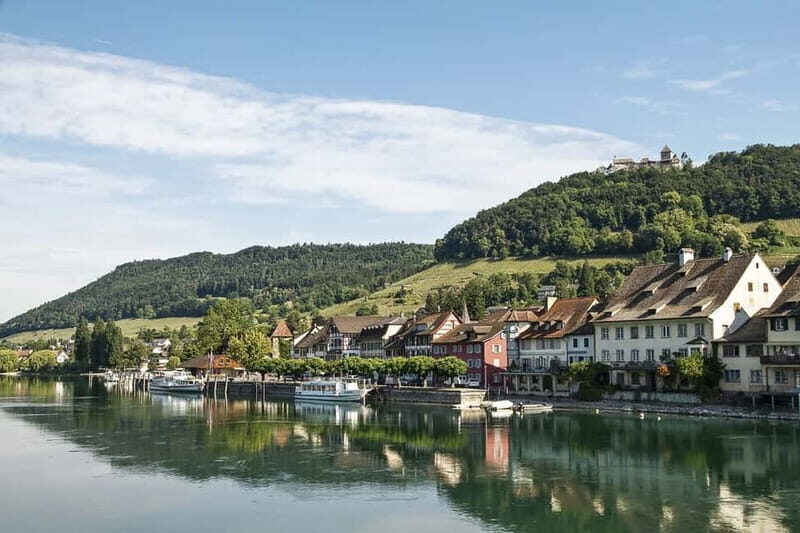 From Zurich: Stein am Rhein and Rhine Falls - Rhine Falls: Power and Beauty in Motion