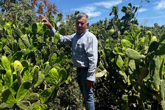 Fruit Garden and Mezcal Tasting Tour with Lunch Included - Fruit Garden and Mezcal Tasting Tour with Lunch Included – A Practical Guide
