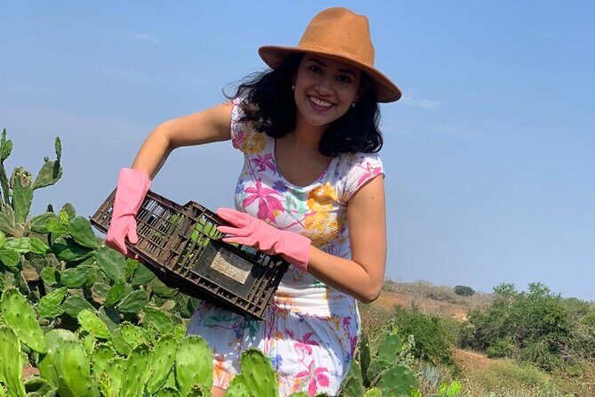 Fruit Garden and Mezcal Tasting Tour with Lunch Included - Exploring the Itinerary in Detail