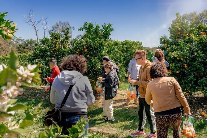 Fruit Picking & Nature Private Tour Yarra Valley & Warburton - Key Points