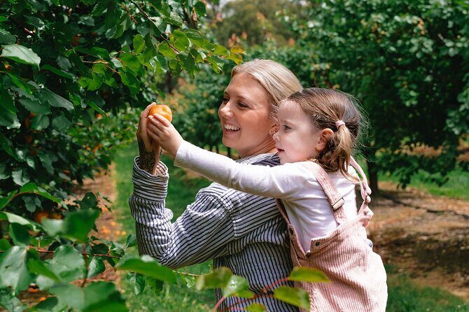 Fruit Picking & Nature Private Tour Yarra Valley & Warburton - Price and Duration: Is It Good Value?