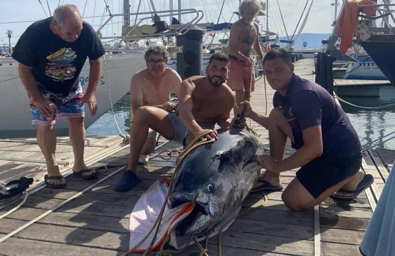 Fuengirola: 4h Trolling Fishing Trip with Snacks and Drinks - Key Points