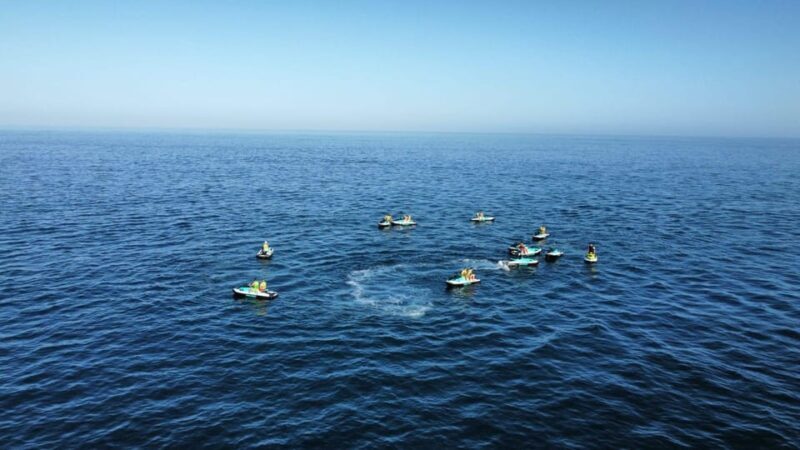 Fuengirola: Best Jet Ski Rental - The Verdict: Who Is This Tour Best For?